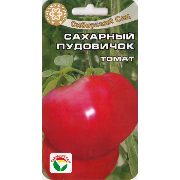 Сорта Томатов Описание Фото Пудовик – Telegraph