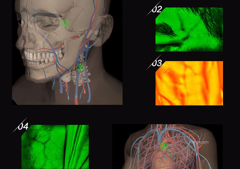 HD Vein Imaging Vein Viewer Vein Finder Vein Camera