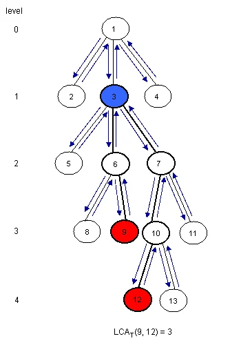 浅谈LCA相关算法（tarjan，倍增）_c++ lca tarjan-CSDN博客