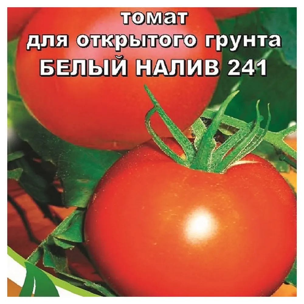 Томат Белый Налив Описание Сорта Фото Отзывы – Telegraph