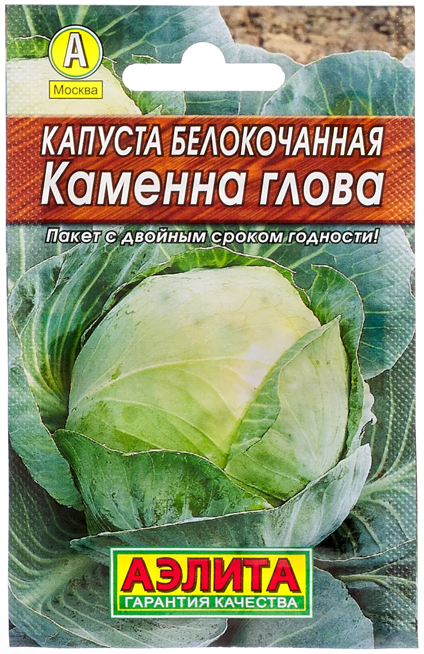 Каменная Голова Капуста Описание Фото Отзывы – Telegraph