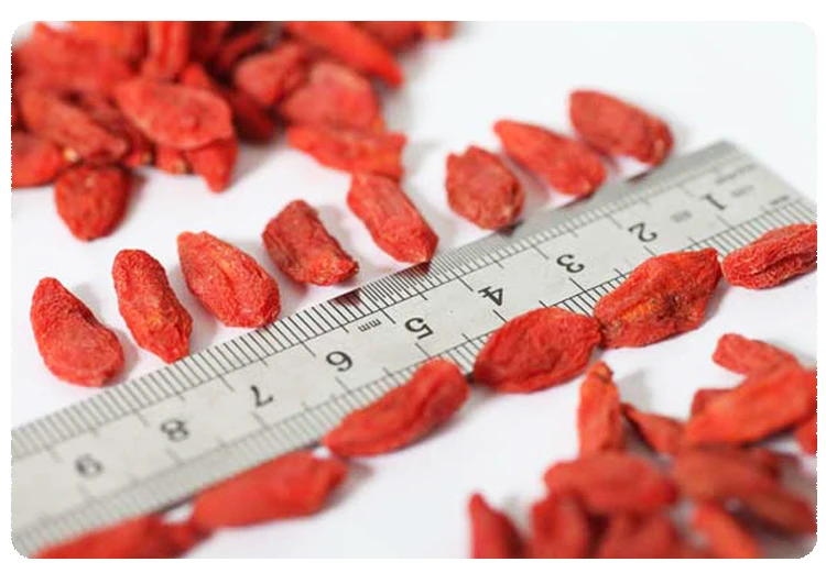Premium Organic Goji Berries Ningxia Goji Berry Dried WolfBerry Lycium ...