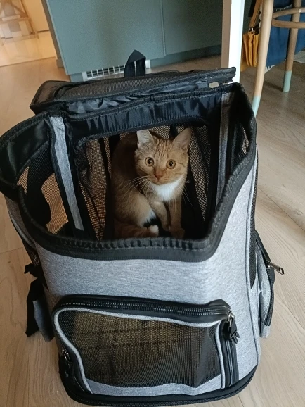 Astronaut Cat Backpack | Pets Lovers Warehouse