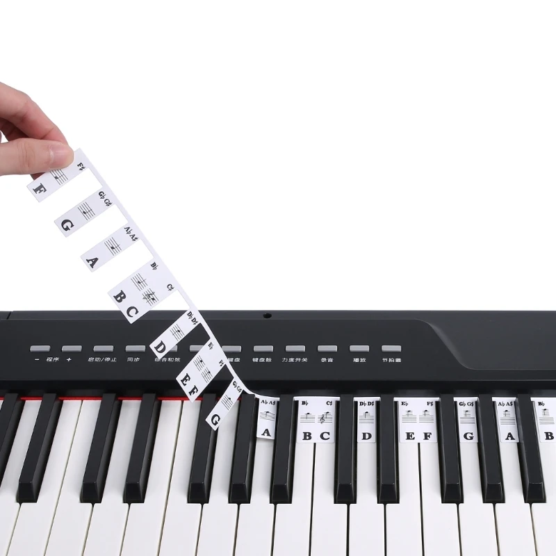 61 Keys 88 Keys Removable Music Keyboard Stickers with Staff Numbered ...