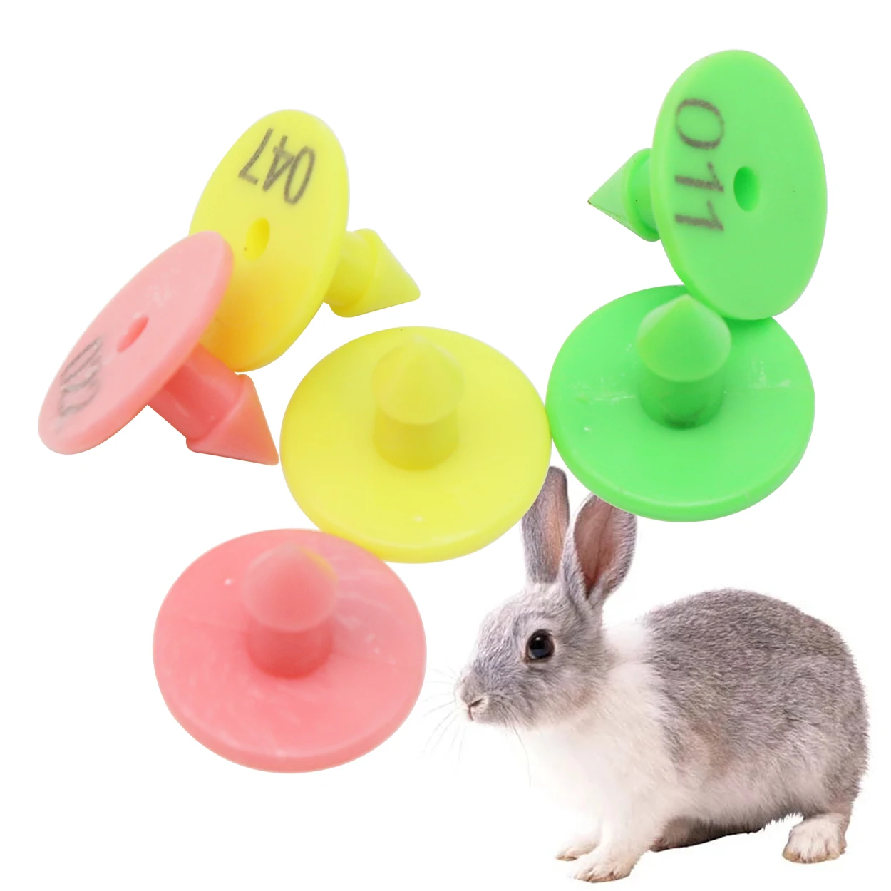 100-Set-Rabbit-Ear-Tag-Signs-With-Words-Ear-Laser-Typing-Plastic-Head ...
