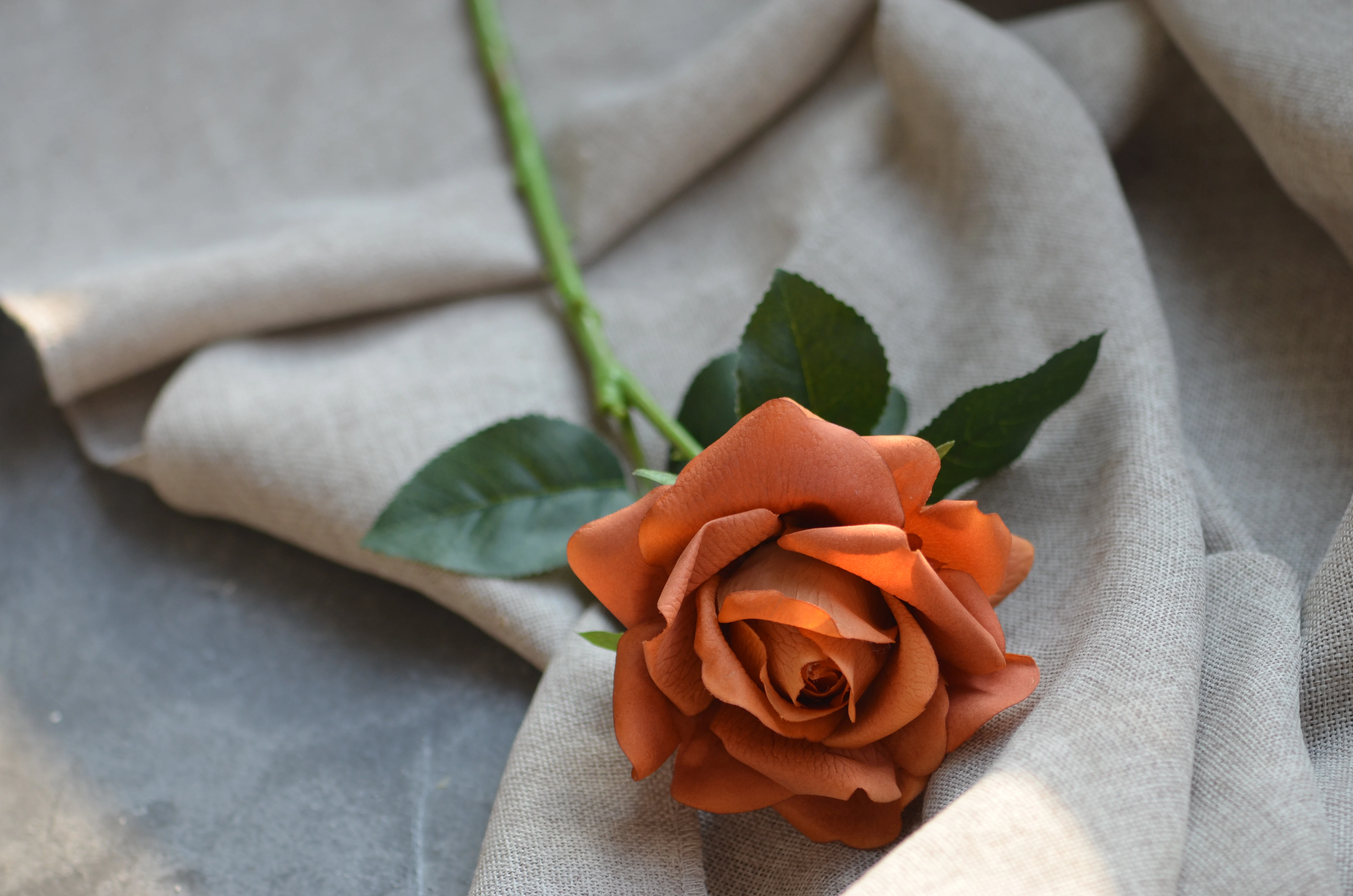 Dark Orange Roses