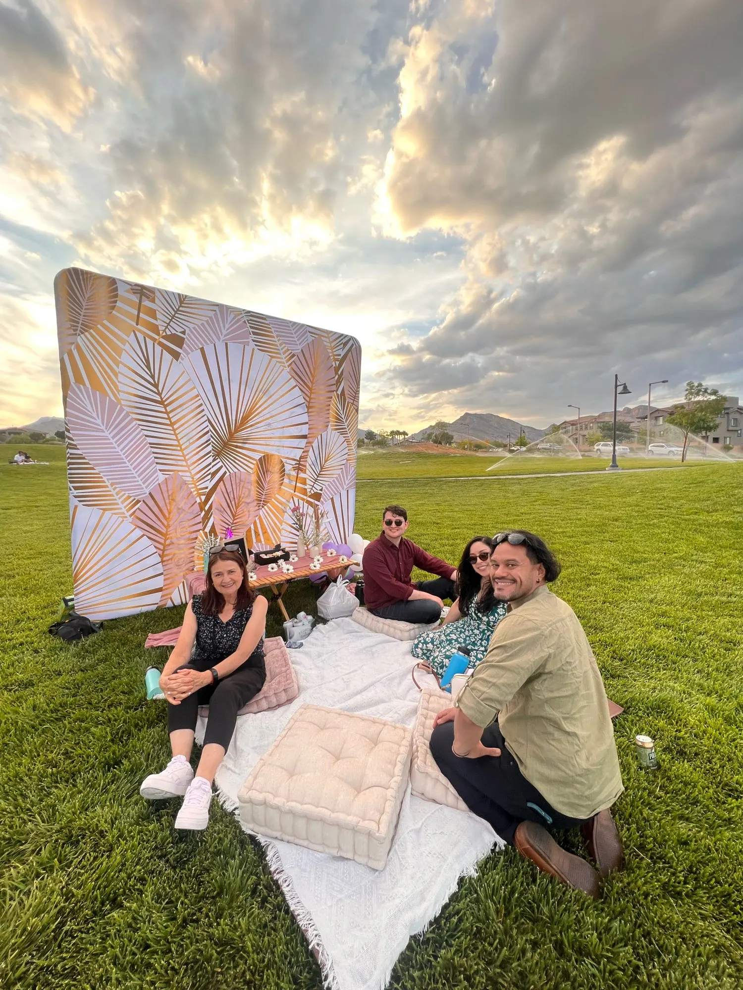 1 STANDARD FRAME 8X8FT AND 3 DOUBLE SIDED BACKDROP (6 DESIGNS) FREE OV ...