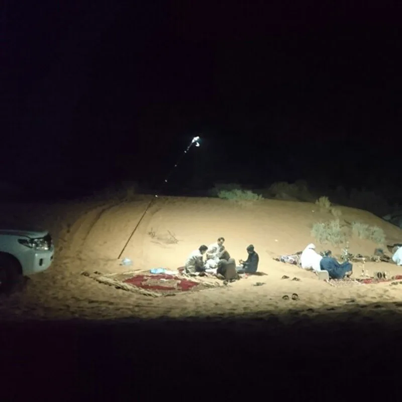 224pcs Leds Boards X 2 Cob 12v Led Telescopic Fishing Rod Outdoor ...