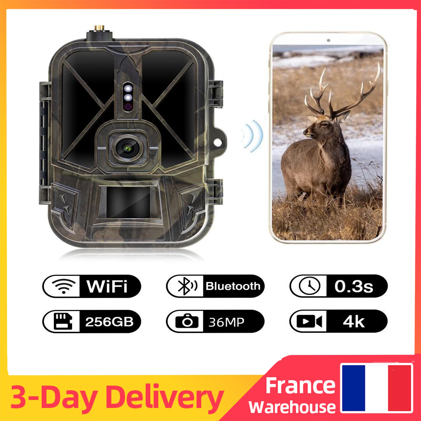 Store Home Products Feedback