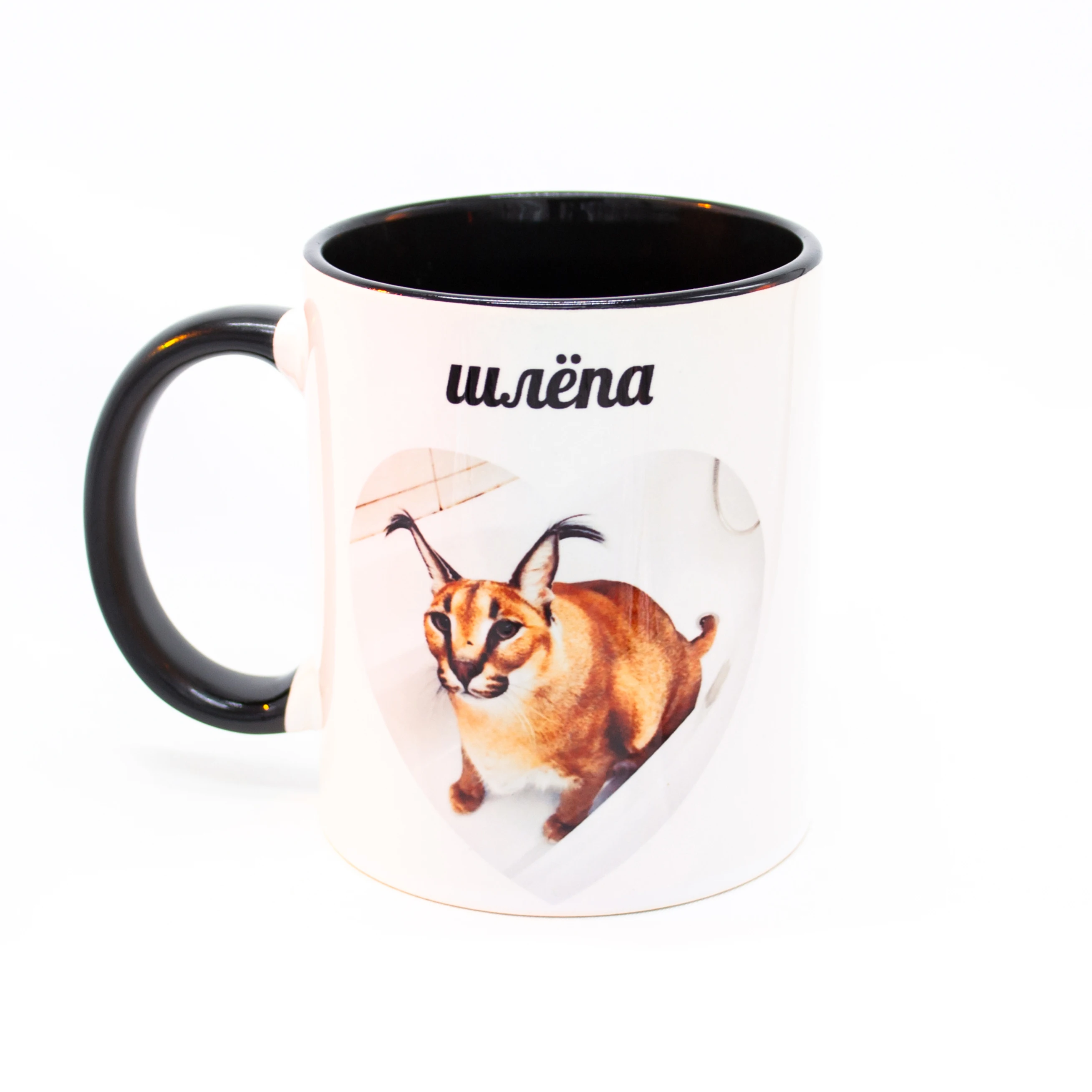 Hayvan Seni Seviyorum Memleri