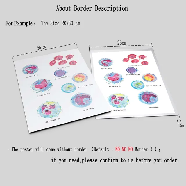 Blood Cell Border