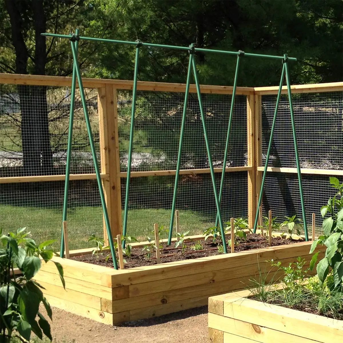 4-ft-Garden-Stakes-for-Climbing-Plants-Supports-Pole-Rust-Free-Plant ...