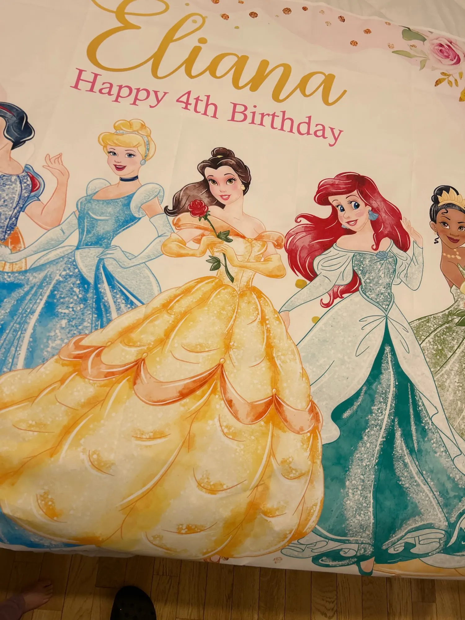 Disney Watercolor Princess Birthday Decoraiton Photography Background ...
