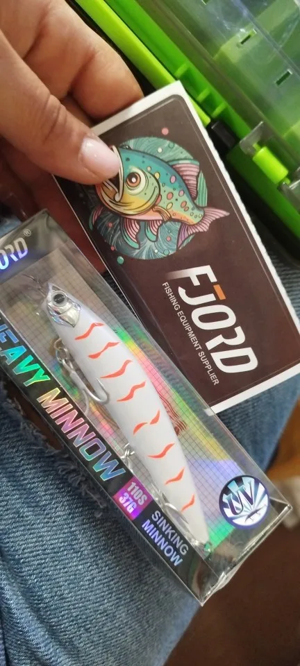 FJORD 110S 37g 90S 29g 70S 17g Heavy Sinking Minnow Fishing Lures Long ...