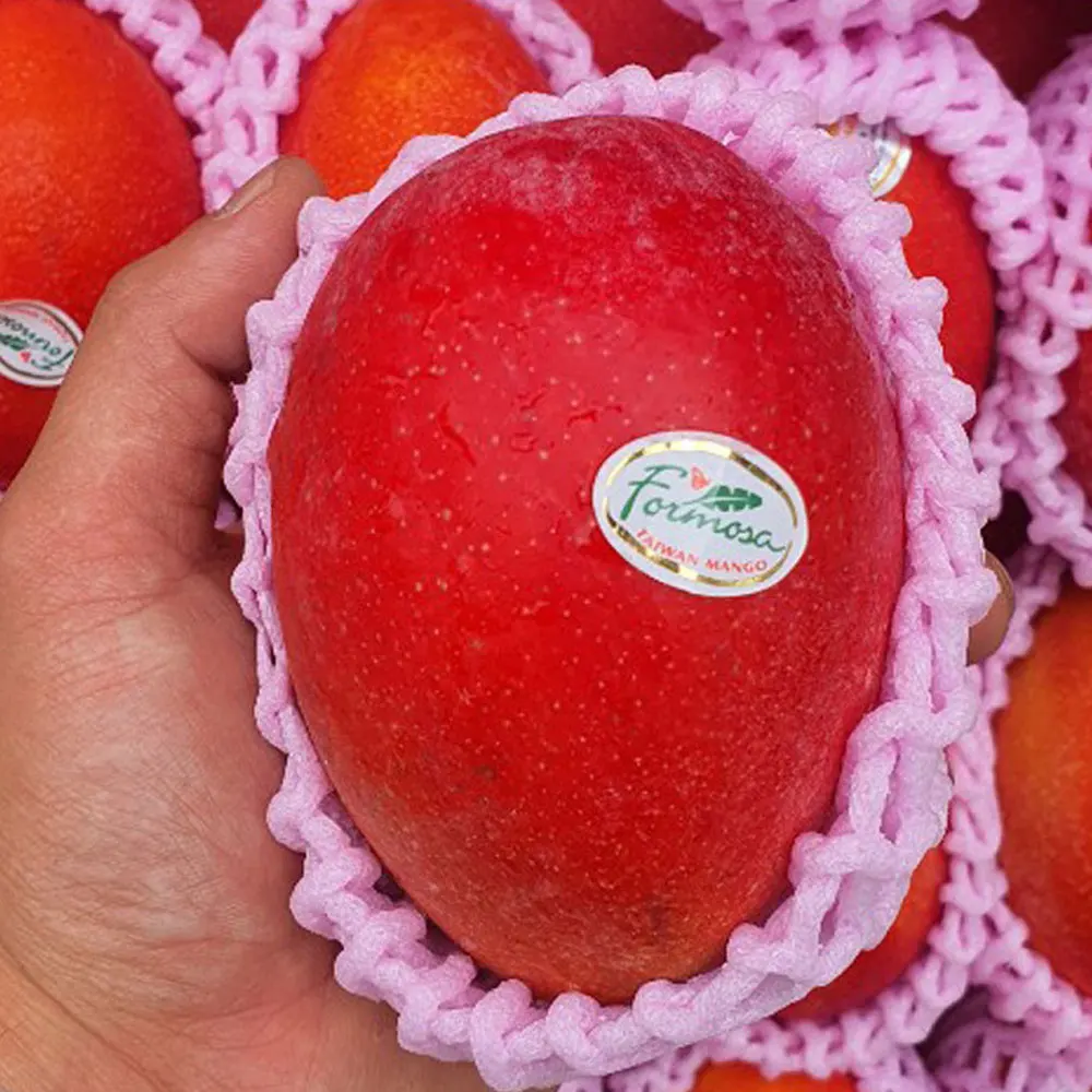 홈 제품 피드백