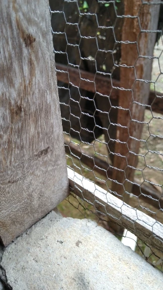 New Disney Stitch Wireless Bluetooth Headphones AH-806 HIFI Stereo ...