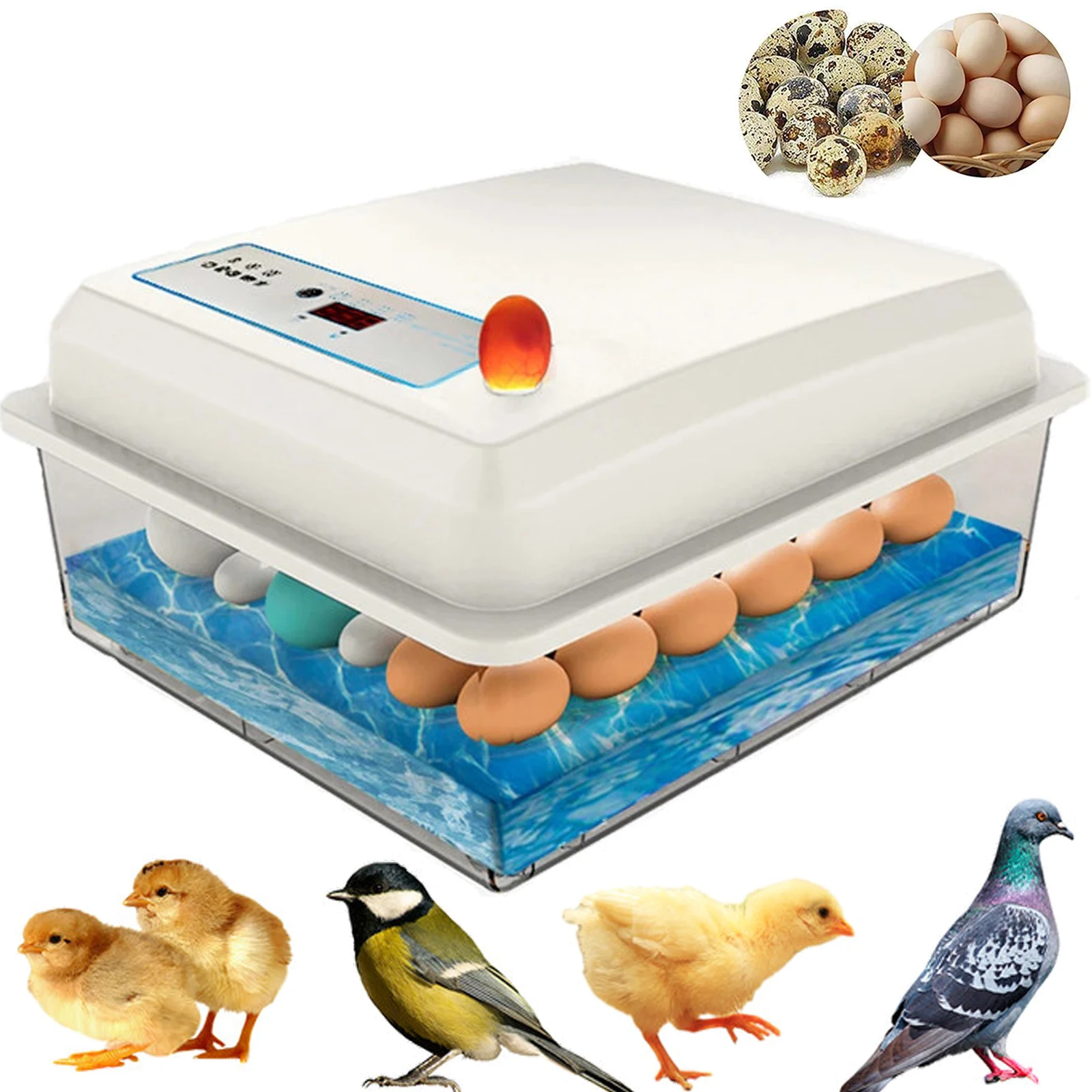 20-Eggs-Incubator-Set-Fully-Household-Brooder-Farm-Chicken-Goose-Duck ...