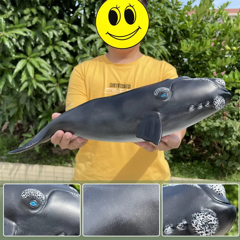 Albino Humpback Whale Octonauts