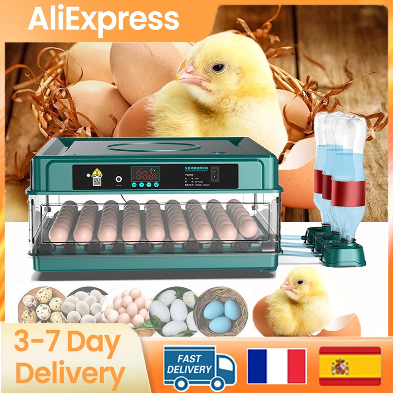 9-15-Automatic-Eggs-Incubator-With-Drawer-Type-Mini-With-Automatic ...