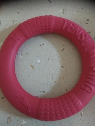 Dog Interactive Training Toy – Pull Ring – DogMega.Com