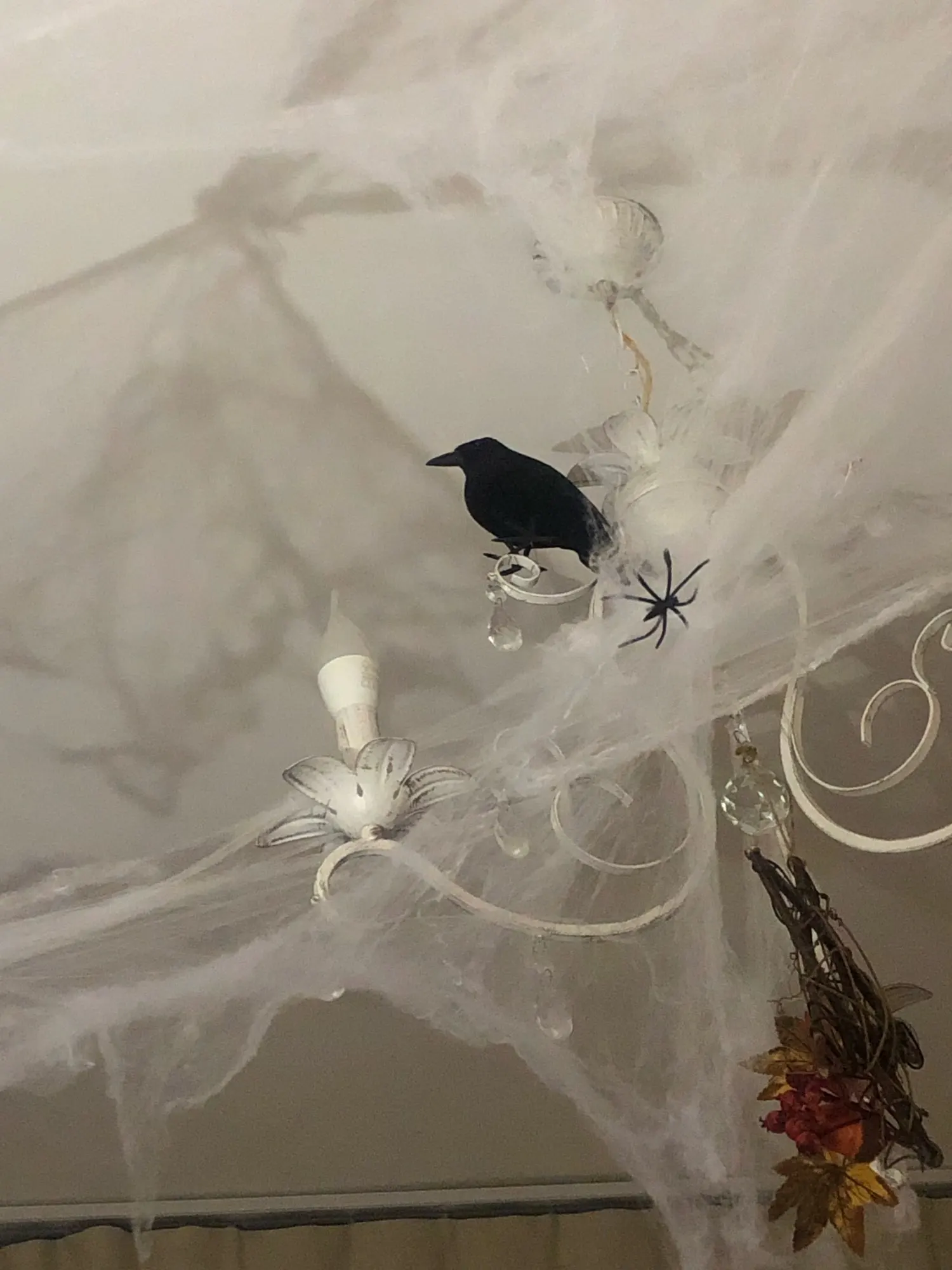 Black Crow Halloween Home Decor – Mavigadget