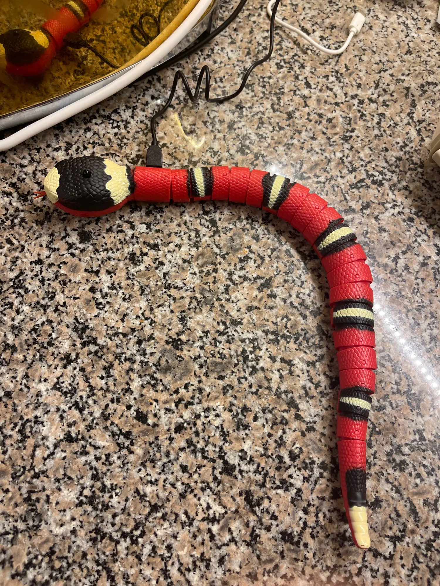 Smart Moving Snake Cat Toys - Electric Snake kitten Toy – HOMIZONE