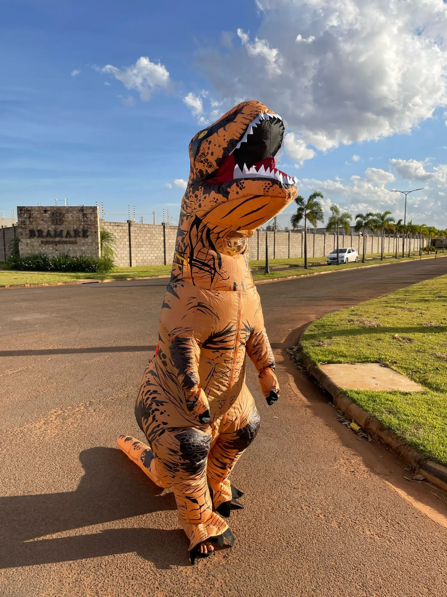 Halloween T-Rex Dinosaur Inflatable Costume – All Halloween Costumes