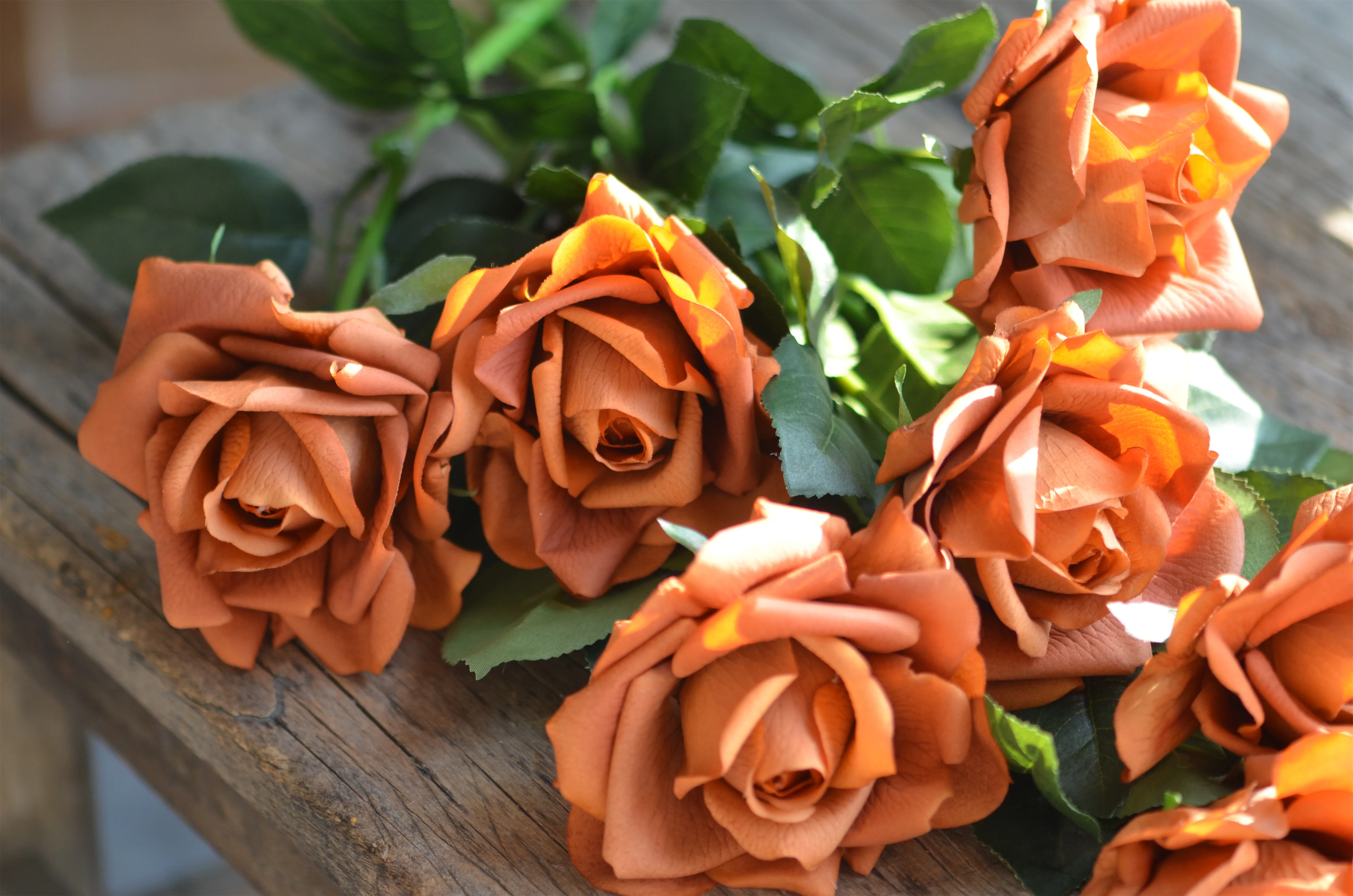 Orange Rose Flowers