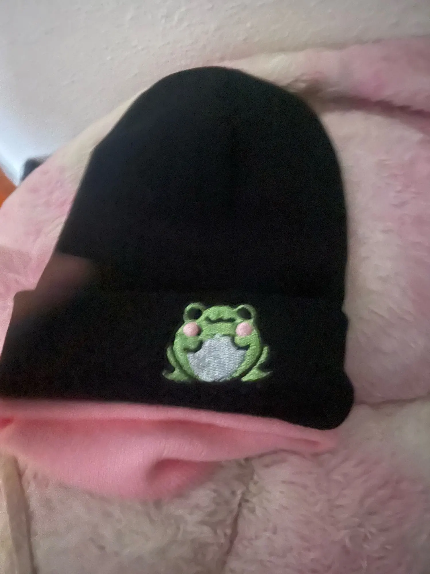 Cute Frog Embroidered Warm Beanie – UrbanWearOutsiders