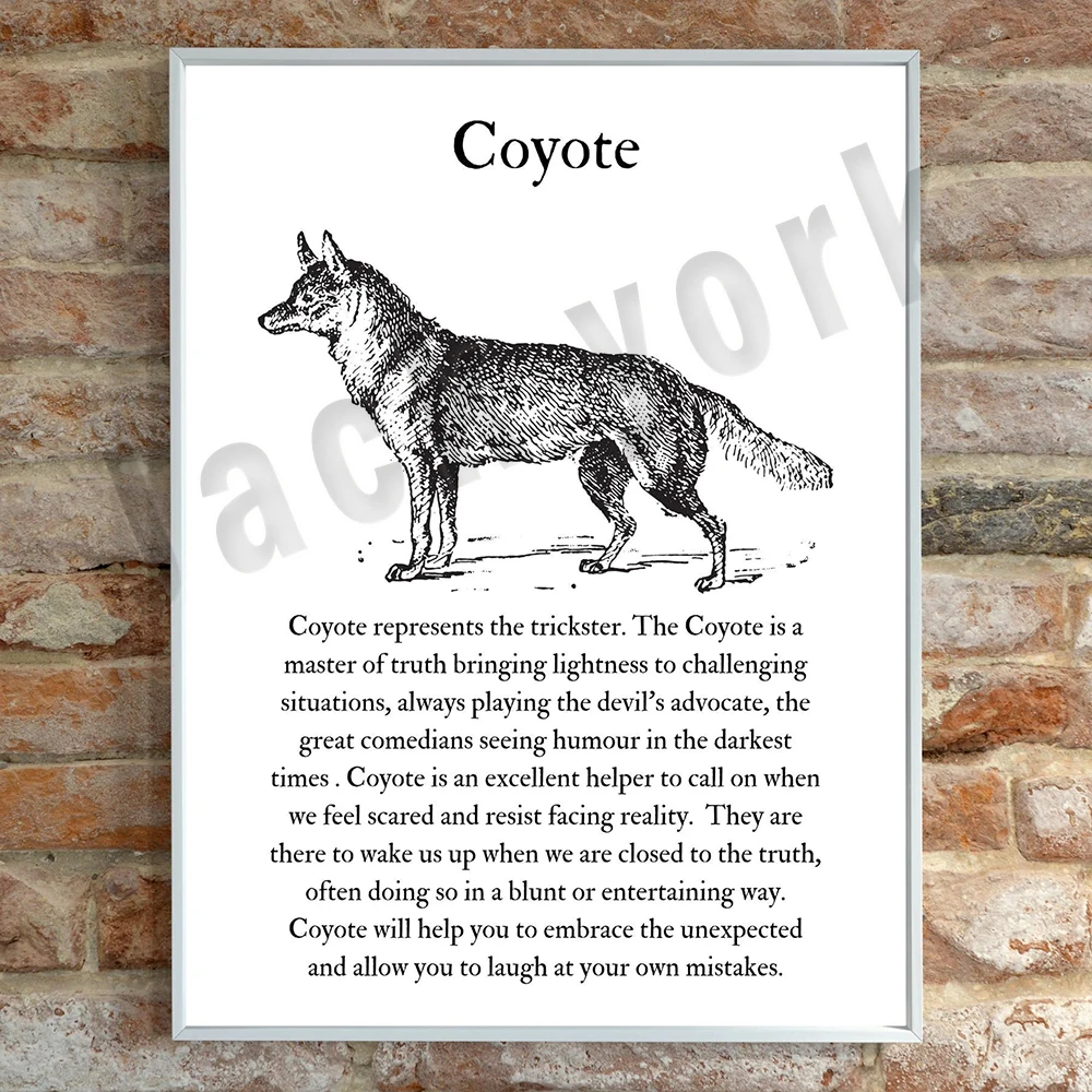 Coyote Animal Totem