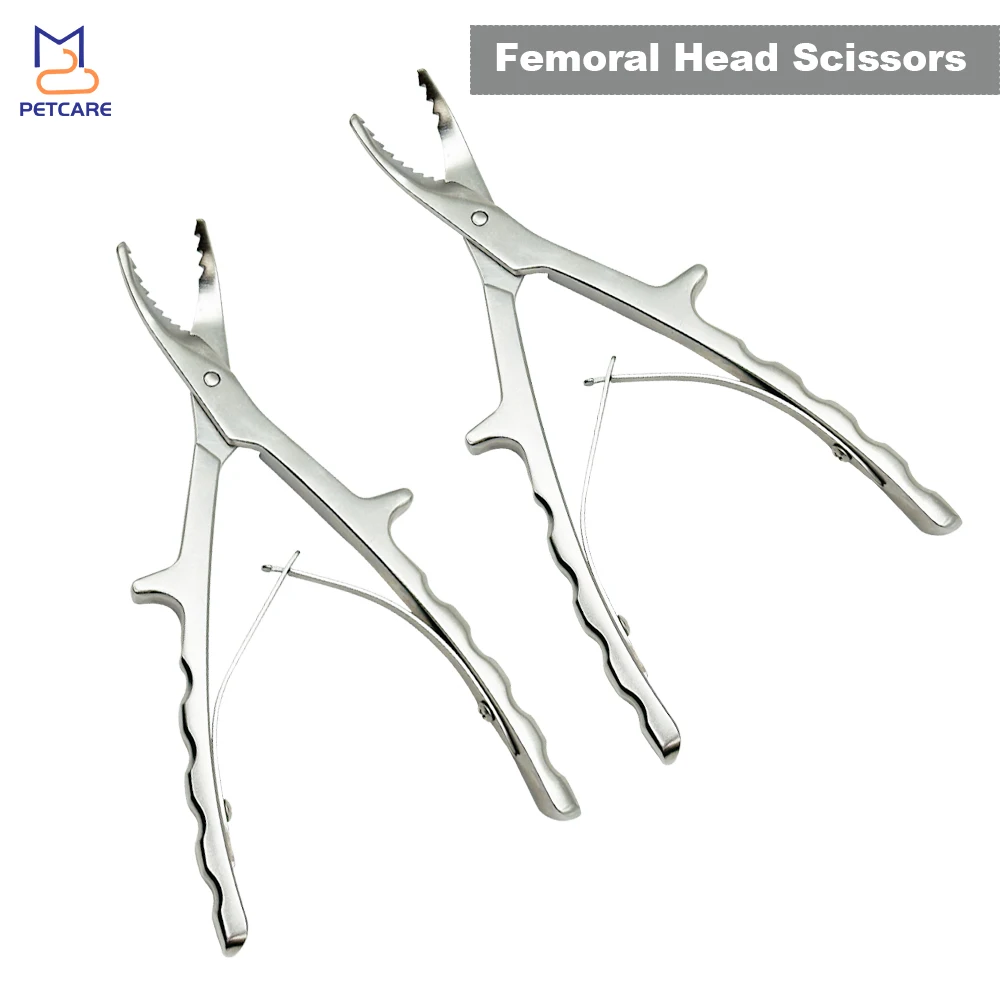 Veterinary Bone Cutting Scissor, Femoral Head Cutter, Mascotas ...