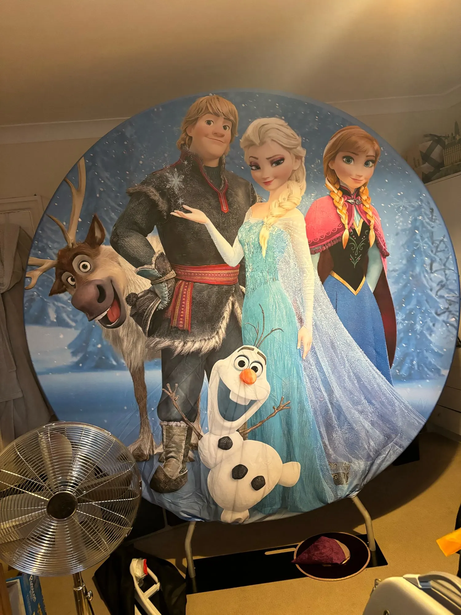 Frozen Round Backdrop Cover Elastic Princess Elsa Anna Girls Birthday ...