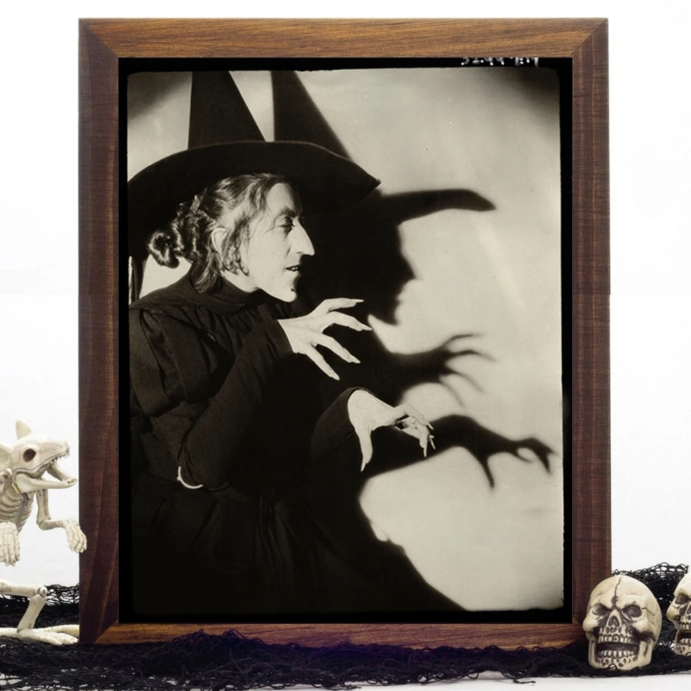 Wicked Witch Of The West Shadow