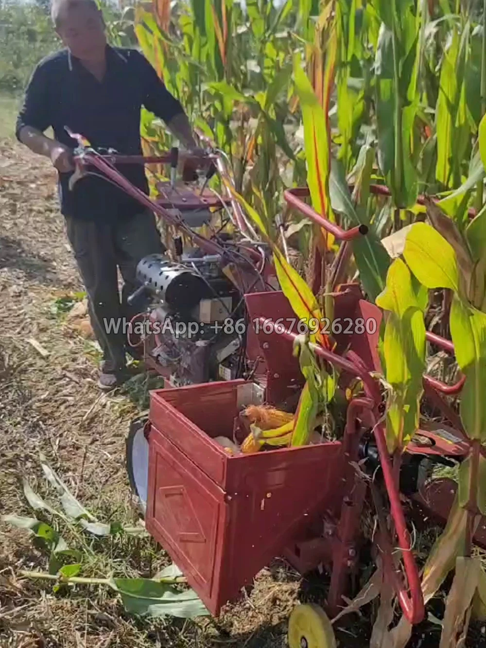 Diesel-electric-start-small-agricultural-corn-harvester-corn-stalk ...