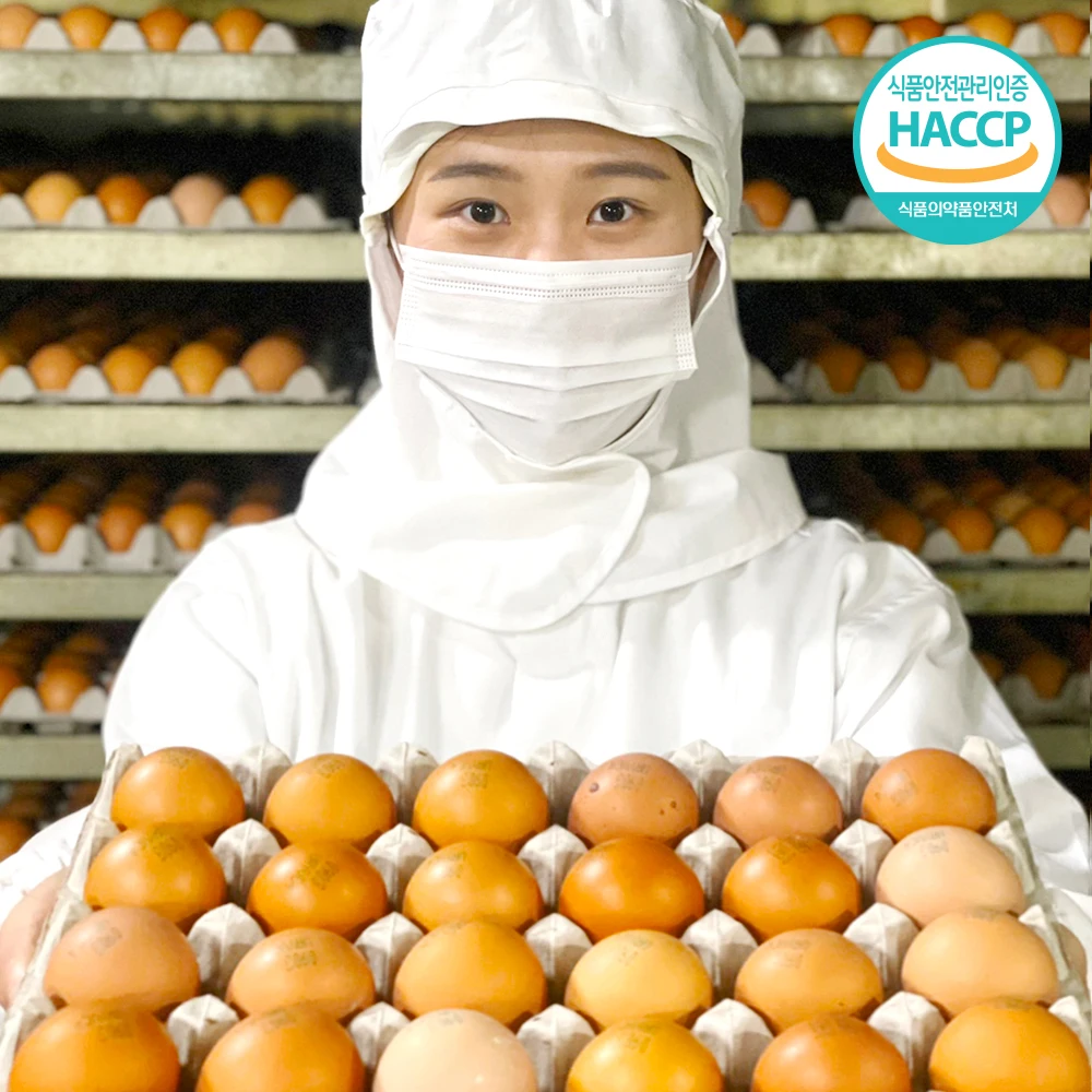HACCP-30-60.jpg