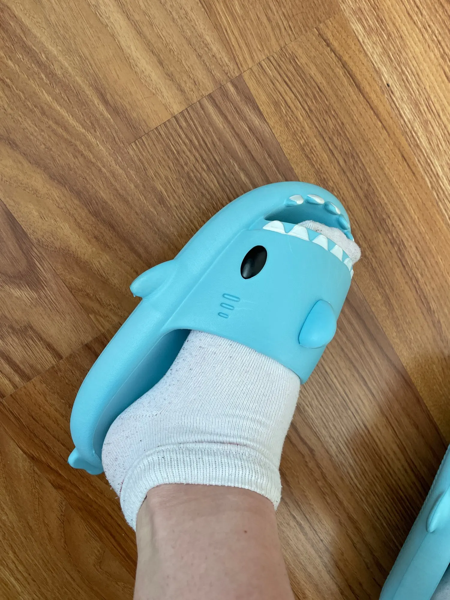 Shark Slides - Kawaii Fashion Shop | Cute Asian Japanese Harajuku Cute ...
