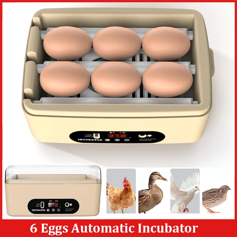 6-Eggs-Automatic-Egg-Incubator-Poultry-Hatching-Machine-Mini-Turning ...