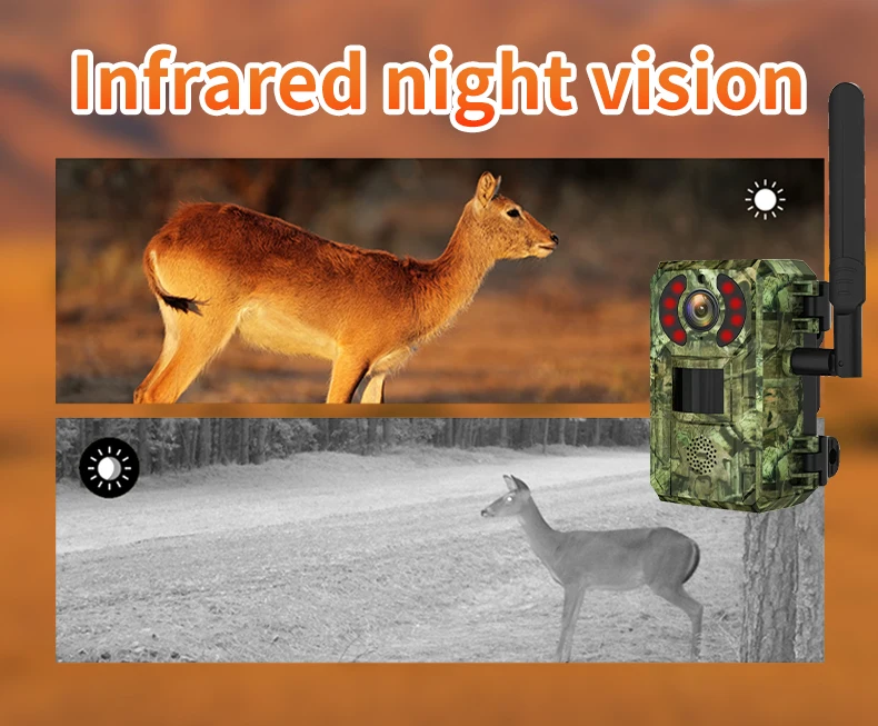 Buy Wholesale China 4mp Hunting Trail 4g Sim Solar Camera Hunting ...