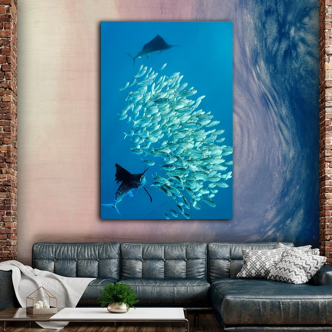 Swordfish Chase Shoal of Fish Canvas Wall Art| | - AliExpress