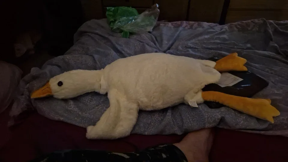 Huge Flying Duck Plush Toy - Mavigadget