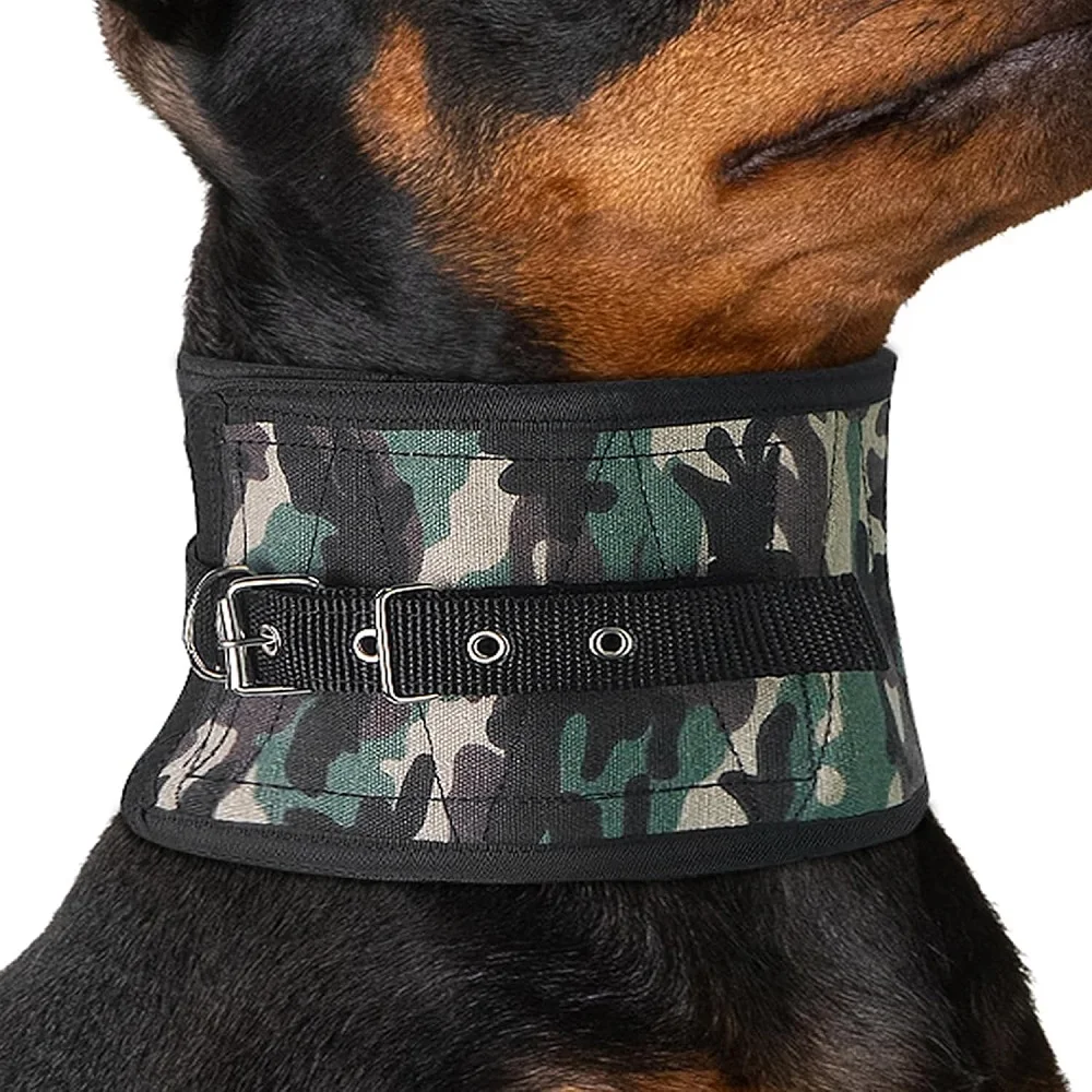 JANPET Hunting Dog Neck Protector – Durable Bite-Resistant Protective ...