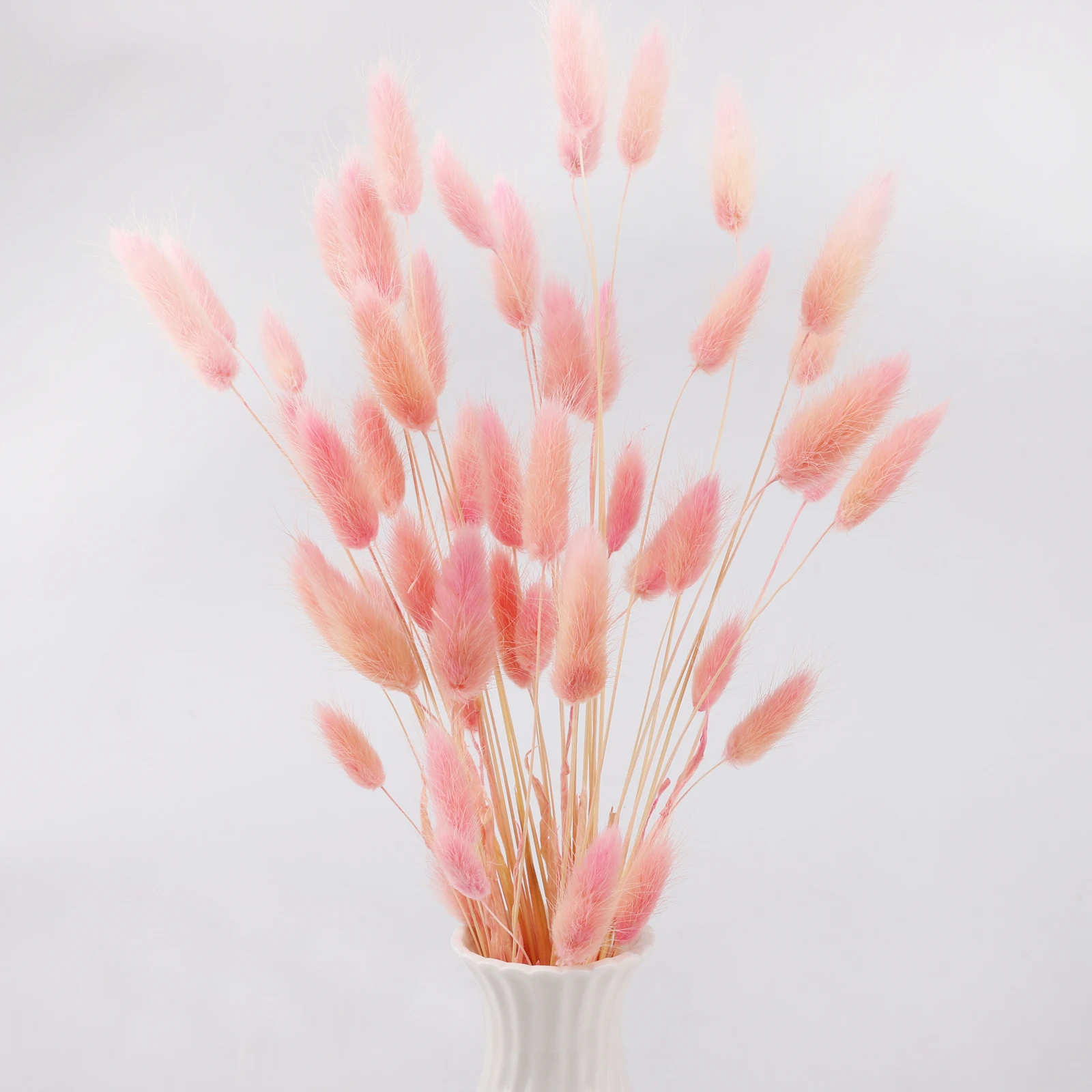 Shop1103191326 Store