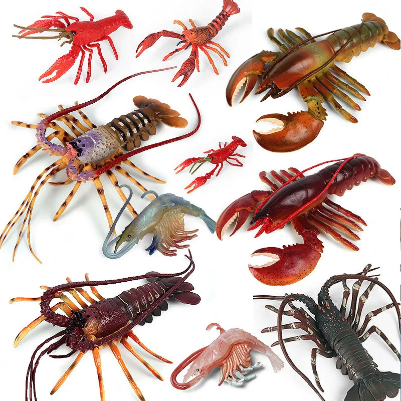 Simulation-Marine-Animal-Australian-Boston-Lobster-Crayfish-Growth ...