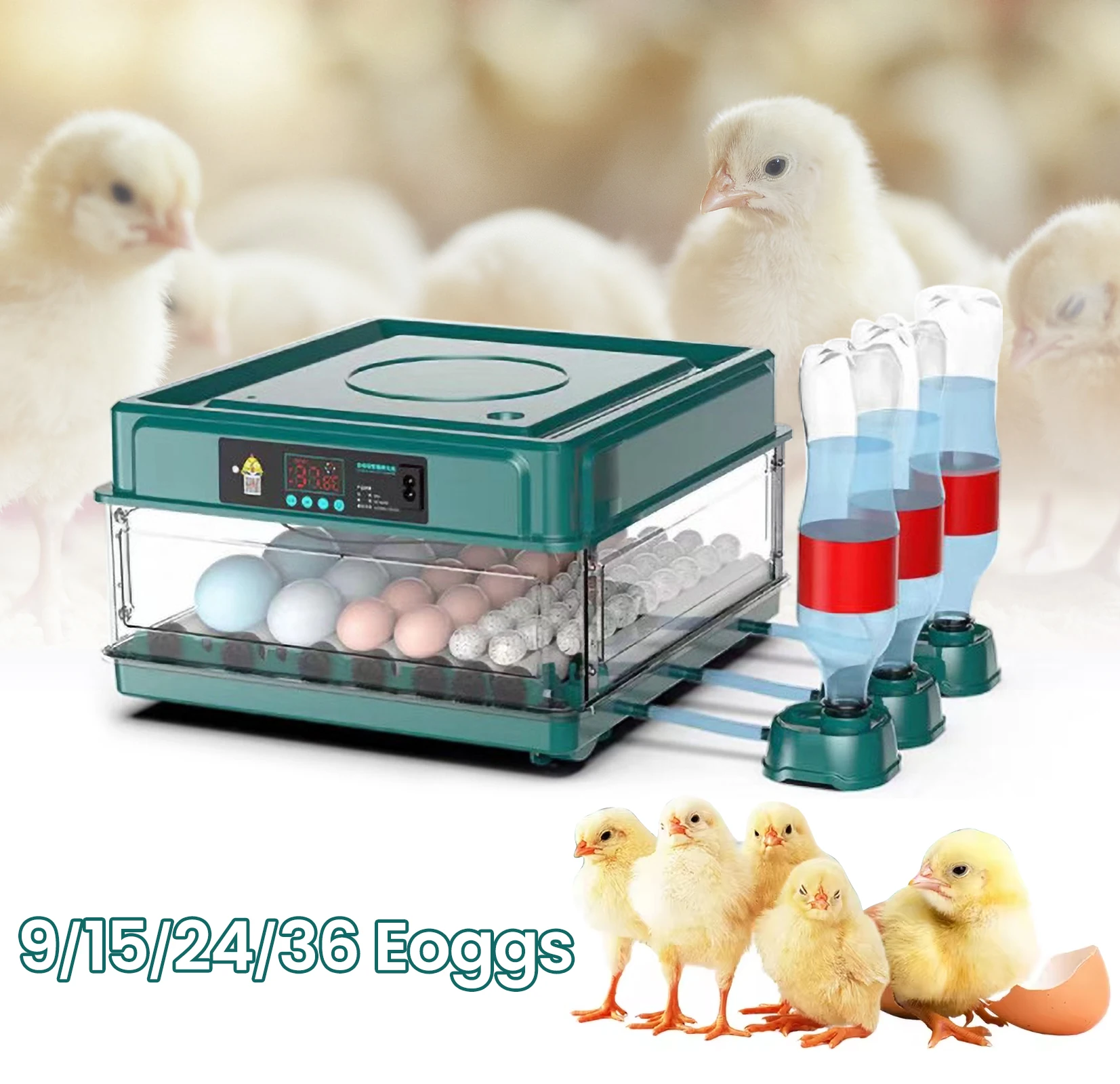 220V-24-64-Eggs-Incubator-Brooder-Bird-Quail-Chick-Eggs-Farm-Hatcher ...