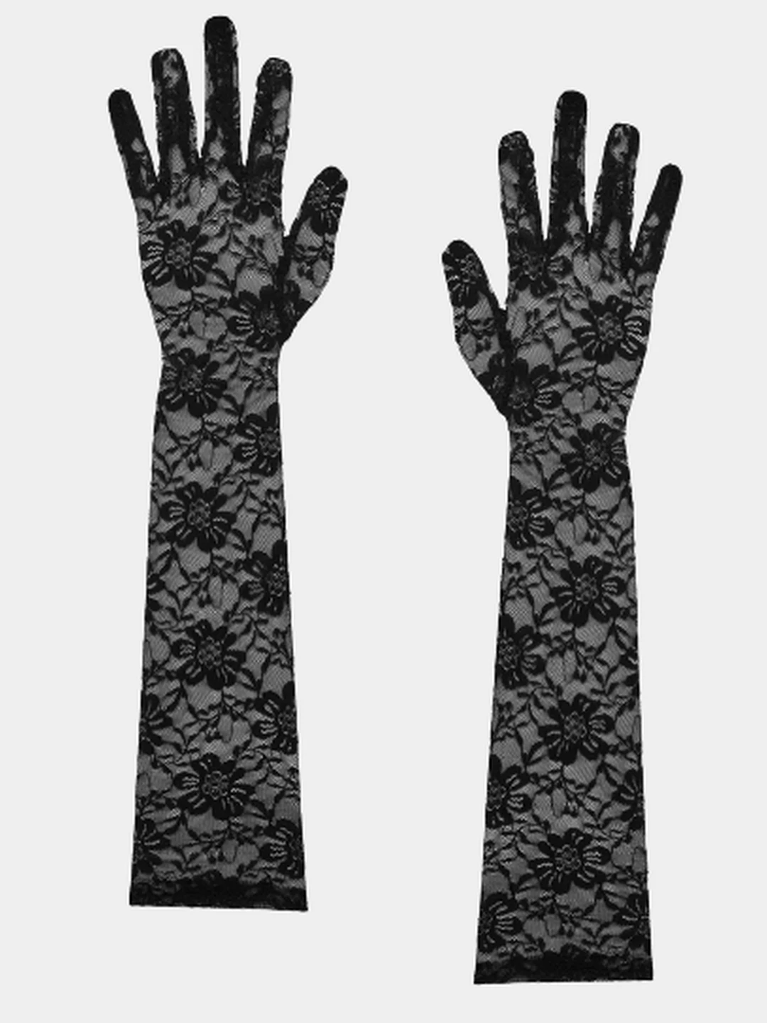 Female Circumferential Sex Specimens Jpeg