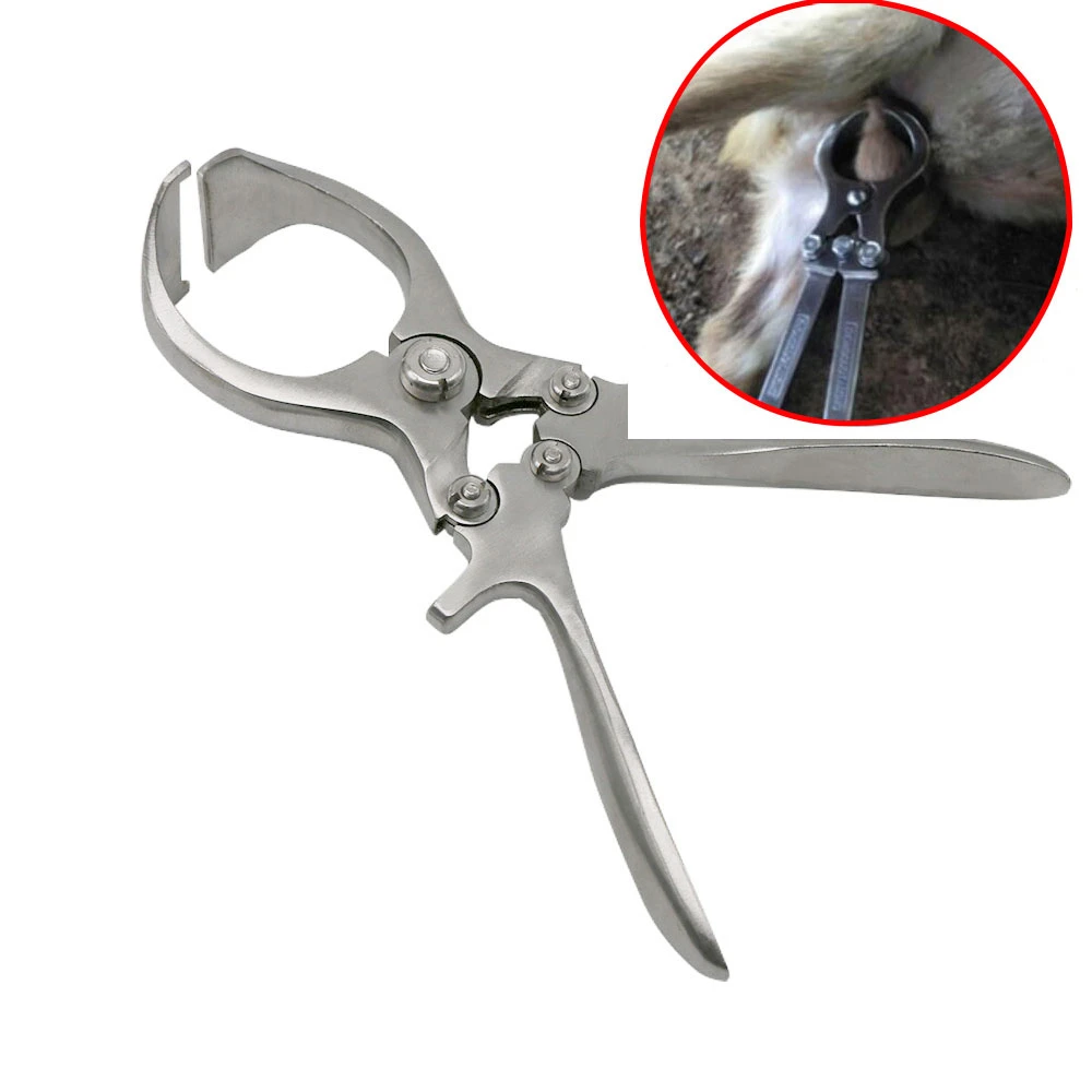 1Pc-Livestock-Without-Blood-Castration-Pliers-Pig-Sheep-Testicular ...