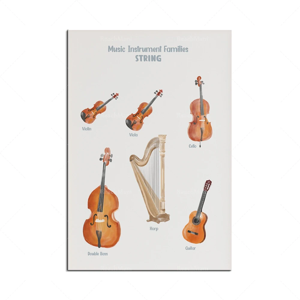 5 Instrument Families