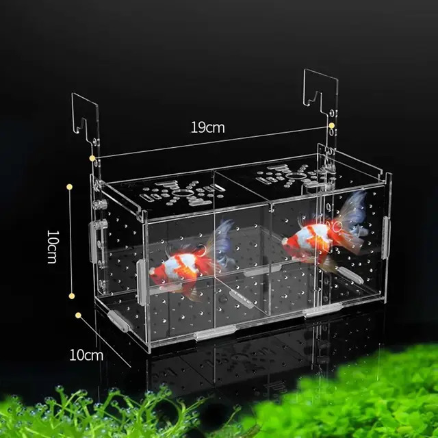 Fish Isolation Box Aquarium Fish Breeding Box Fish Breeding Box Tank ...