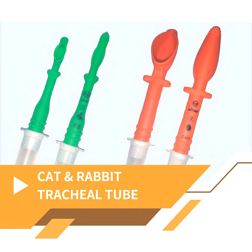 Cat Special Blind Intubation Rabbit Tracheal Intubation Animal ...