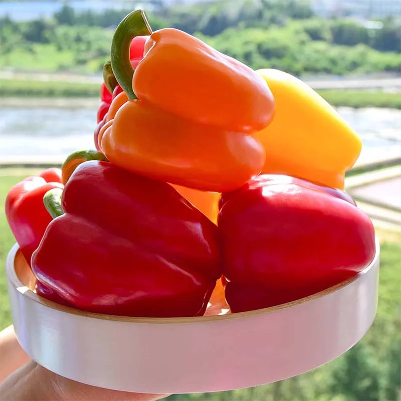 Delicious Household Paprika 1Kg/2Kg - AliExpress 2